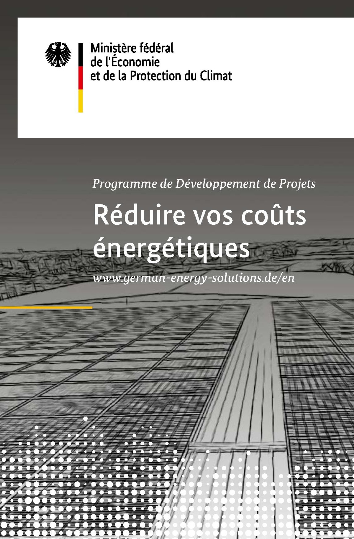 File:PDP Flyer BMWK 2022.pdf - energypedia