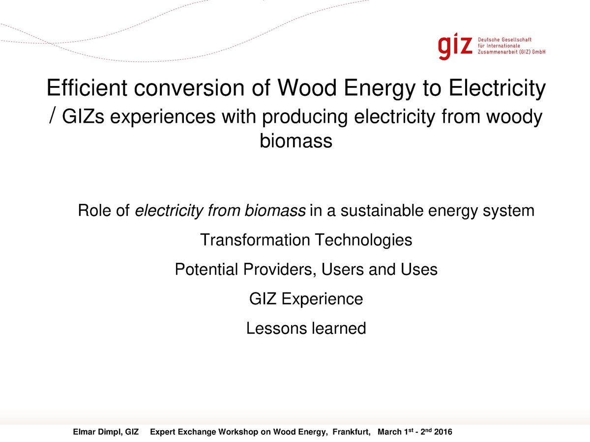 File:Efficient Conversion of Wood Energy to Electricity.pdf - energypedia