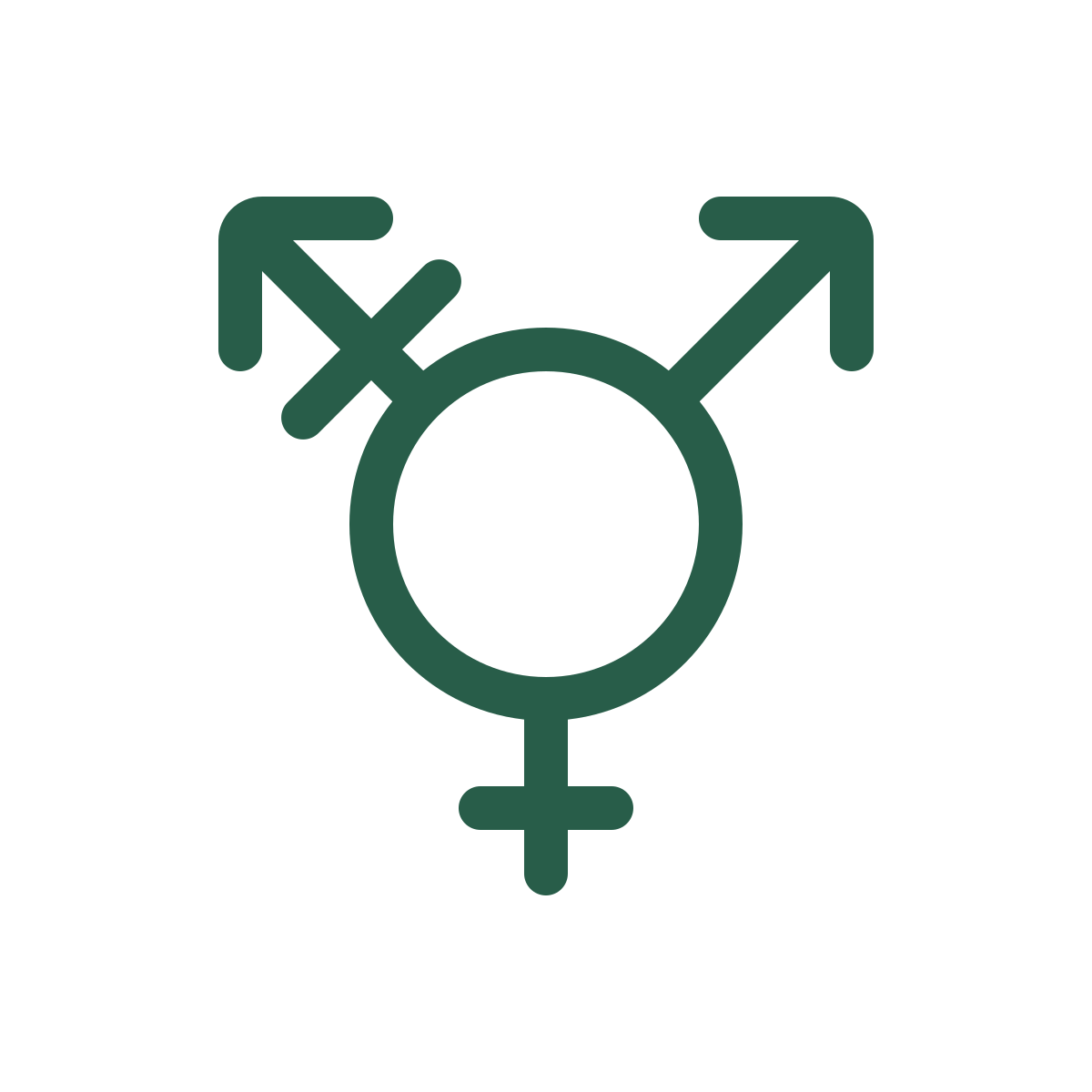 Green People's Energy for Africa - Knowledge Hub - Gender - energypedia