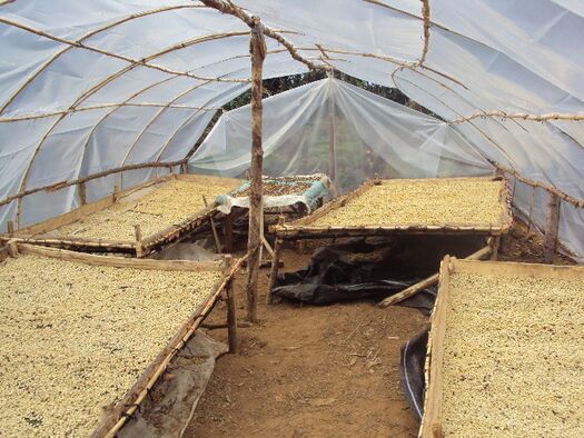 Solar Drying - energypedia