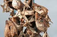 Geothermal Drying (PA Technology) - energypedia