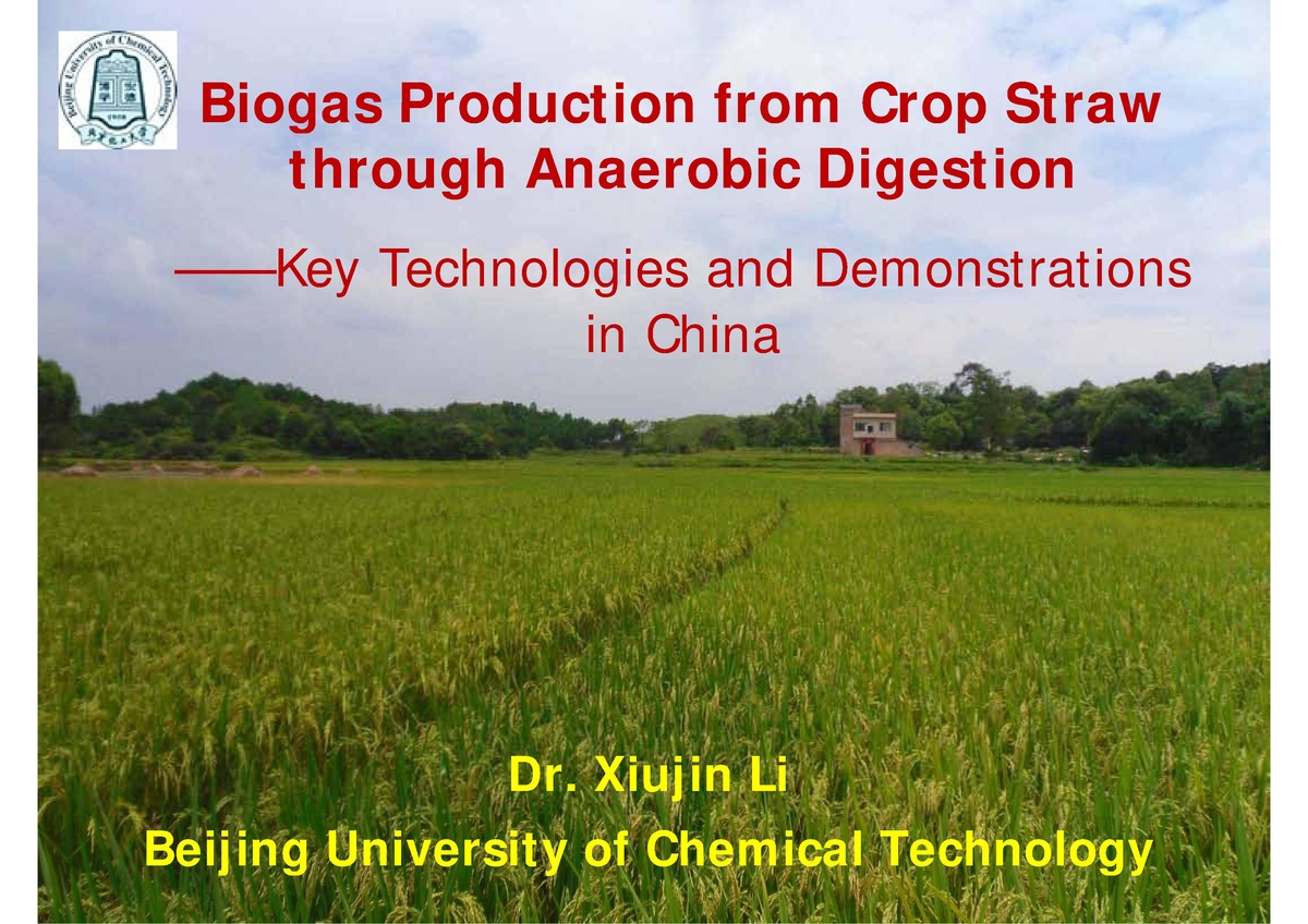 File:Biogas Production from Crop Straw through Anaerobic Digestion.pdf ...