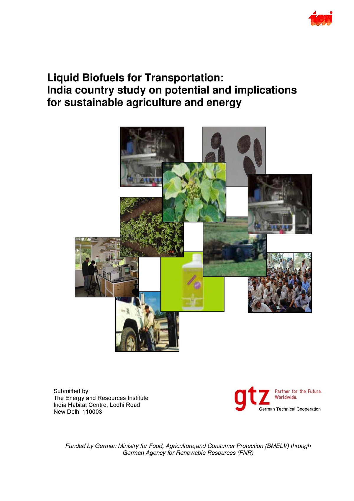 File:Biofuels for Transportation in India.pdf - energypedia