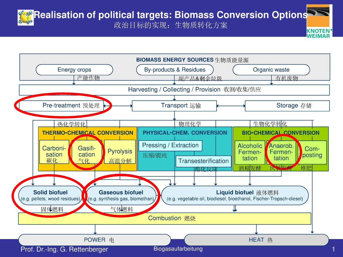 File:Biomass Conversion Options.pdf - energypedia