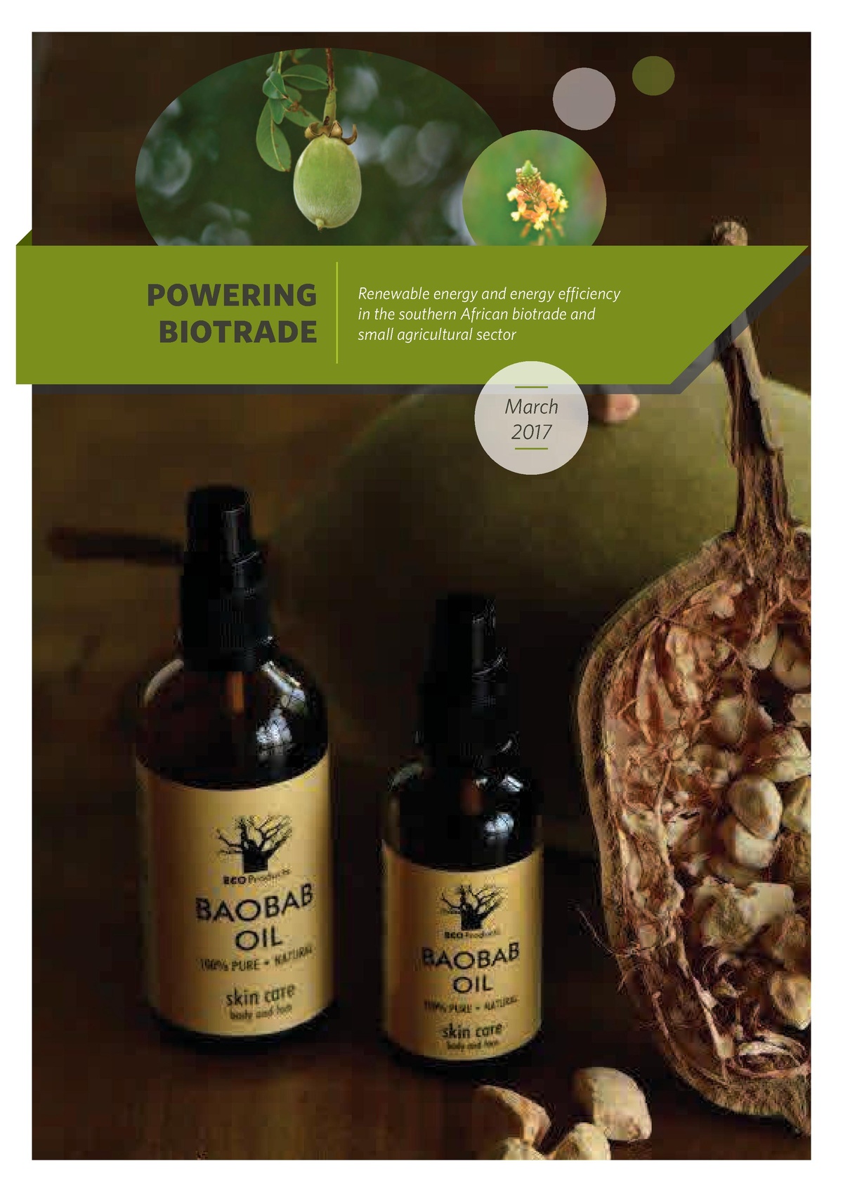 File:Powering Biotrade. Renewable energy and energy efficiency in the ...