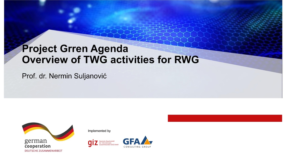 File:2024 TWG activities overview.pdf - energypedia