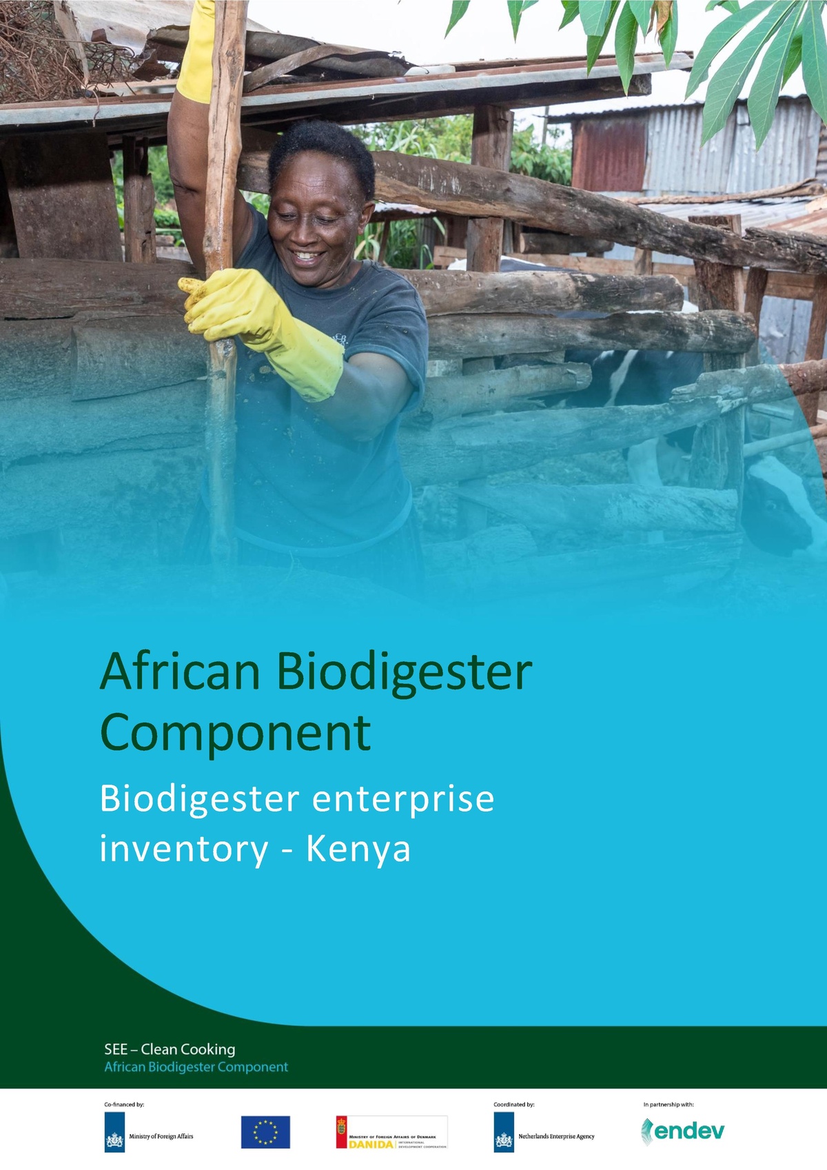 File:ABC Kenya - Biodigester enterprise inventory - Publication - Printing.pdf - energypedia