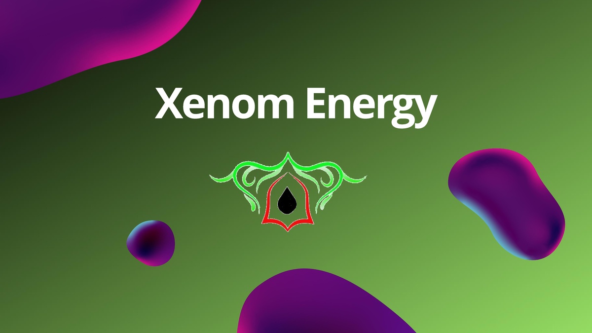 File:Flyer Xenom Energy.pdf - energypedia