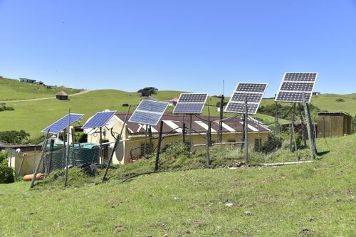 Powering Biotrade: Renewable energy and energy efficiency in the ...